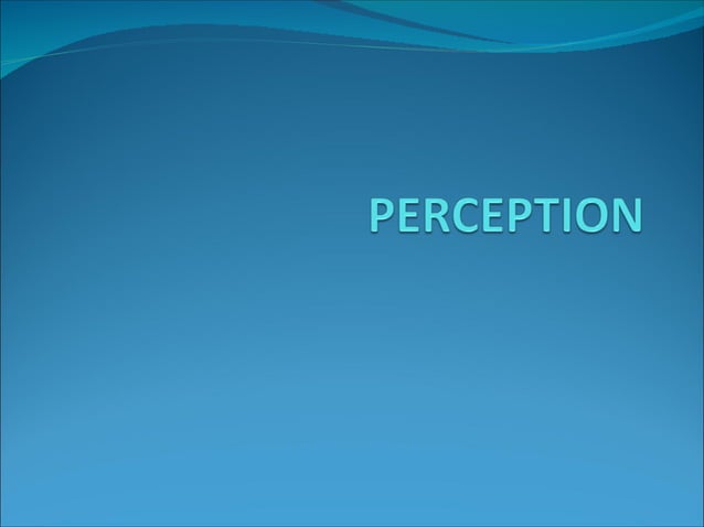 Perception | PPT