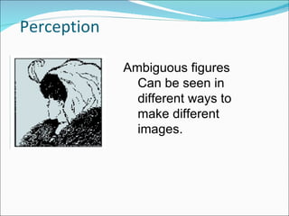 Perception | PPT