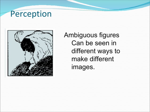 Perception | PPT
