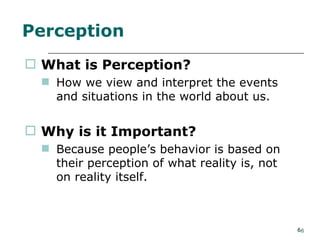 Perception | PPT