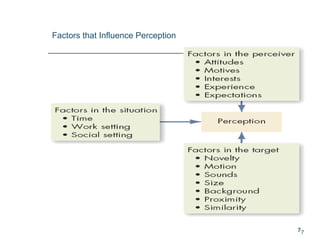 Perception | PPT
