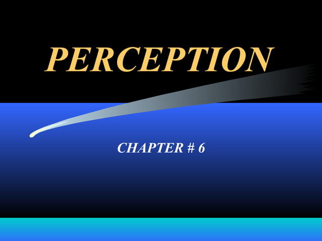 Perception | PPT | Science