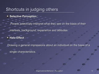 Perception | PPT