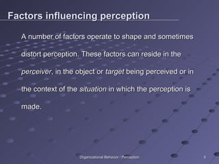 Perception | PPT