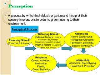 Perception | PPT