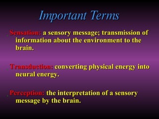 Sensation & Perception | PPT
