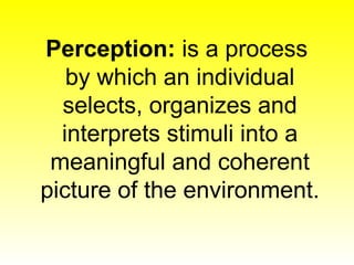 Perception | PPT | Science