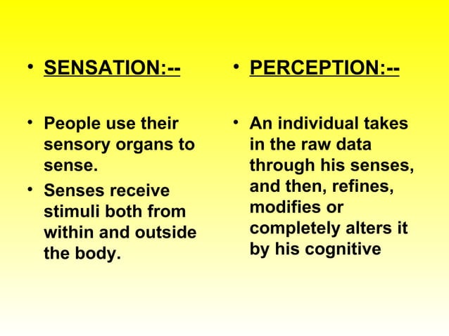Perception | PPT | Science
