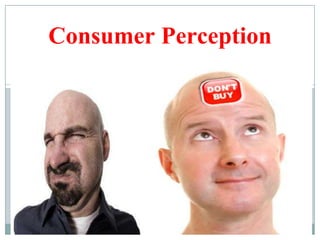 Consumer Perception | PPT