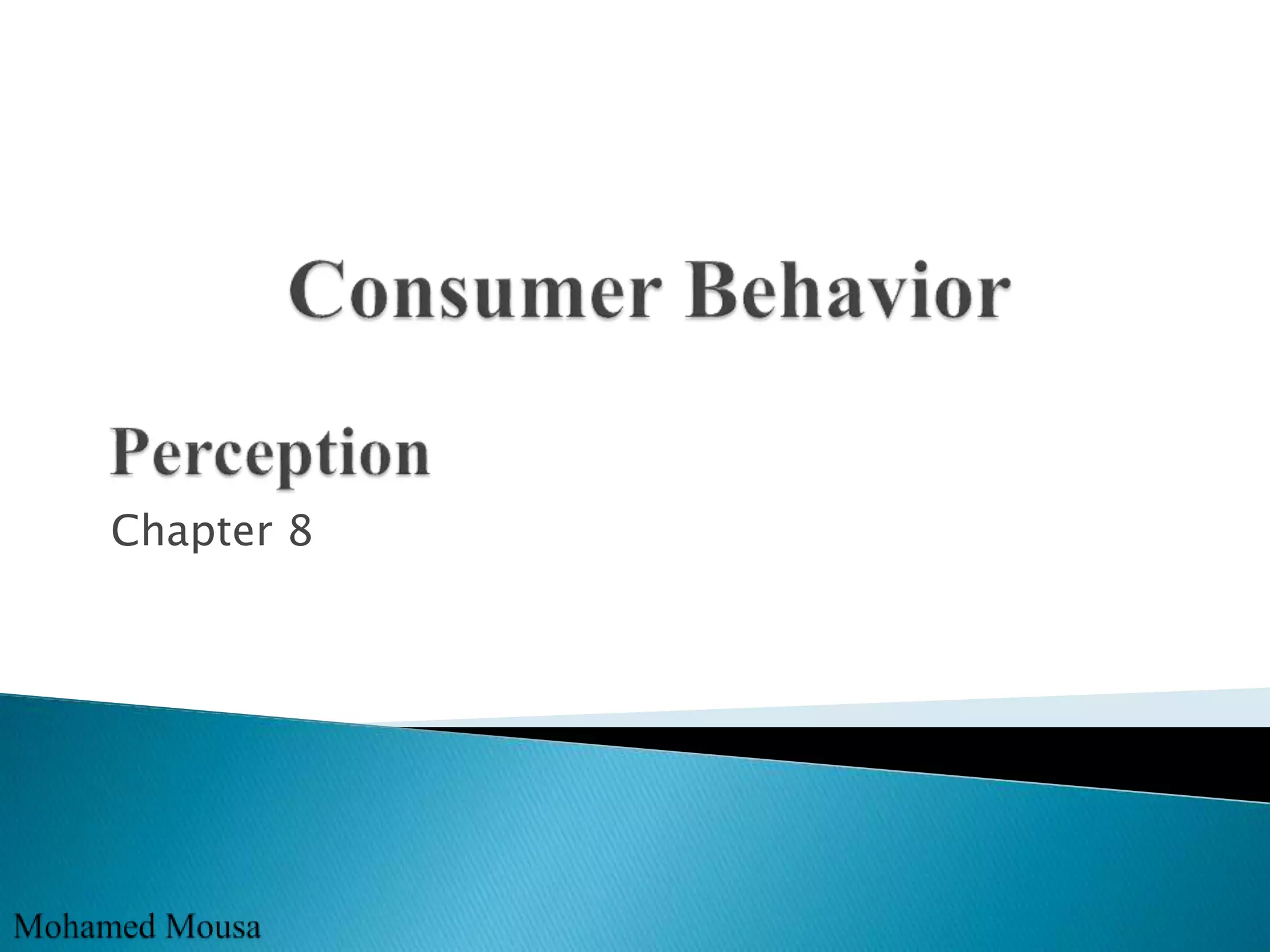 Perception | PPTX | Business | Business and Finance