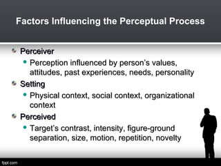 Perception | PPT