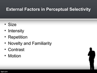 Perception | PPT