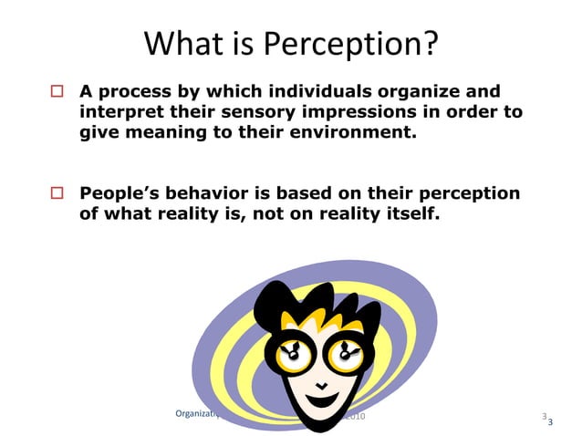 Perception | PPT