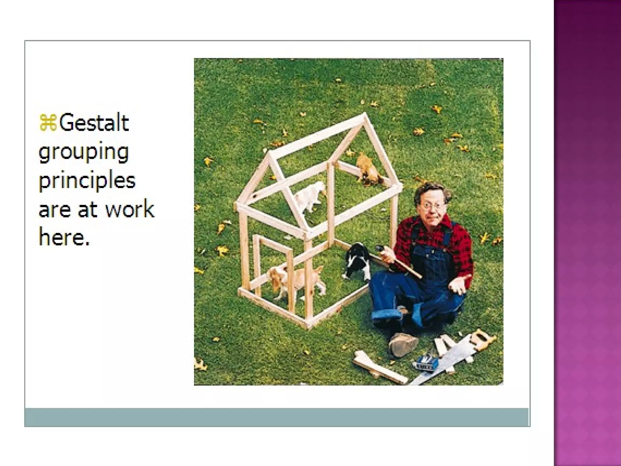 Perception in Psychology | PPT