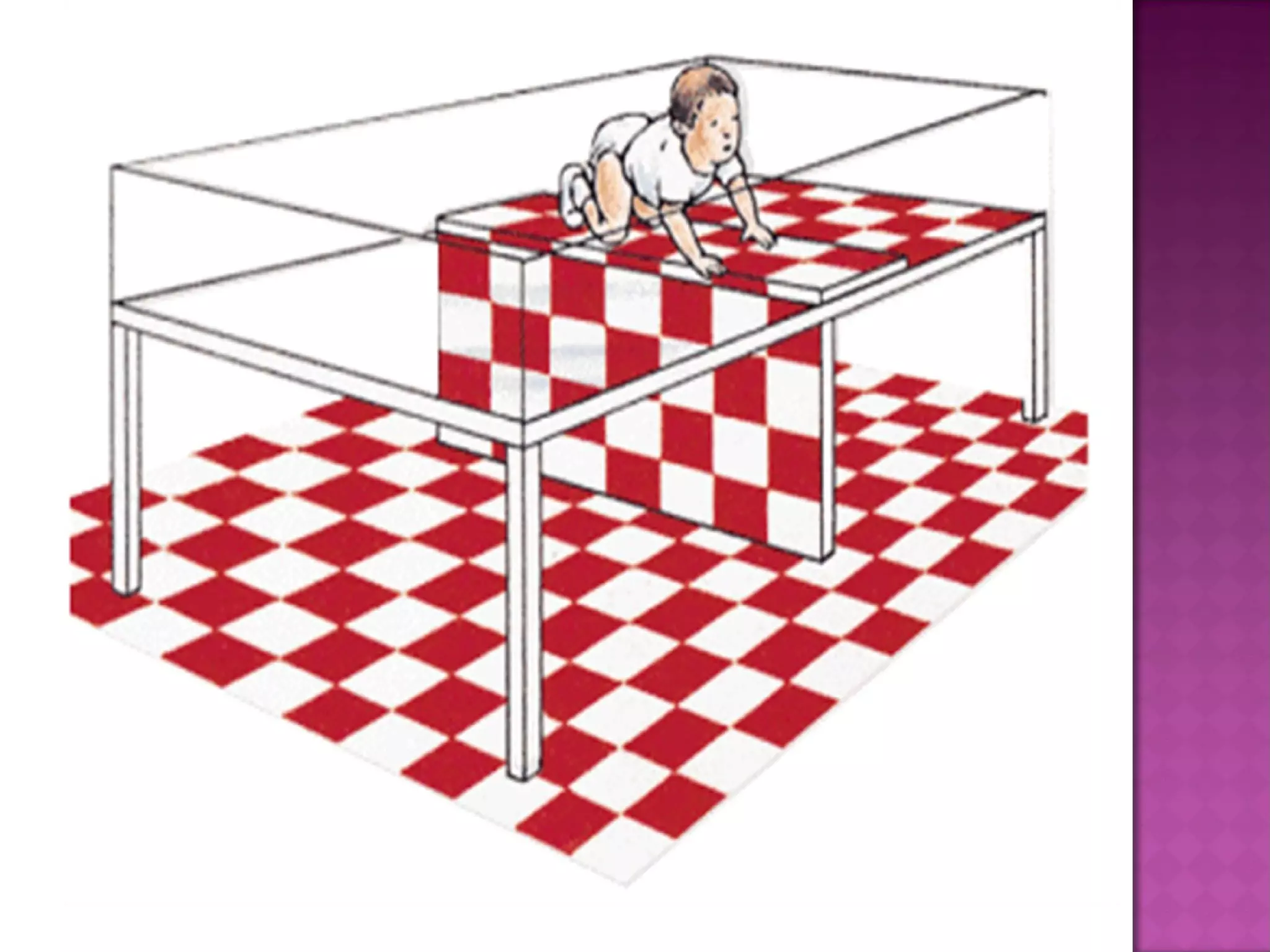 Perception in Psychology | PPT