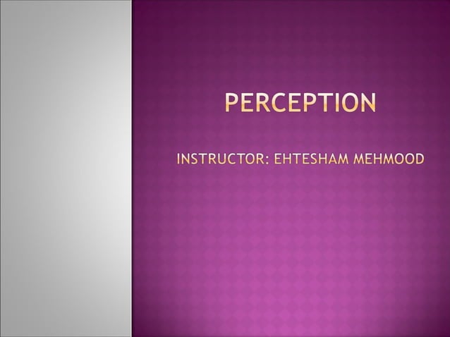 Perception in Psychology | PPT