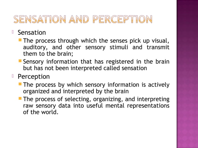 Perception in Psychology | PPT