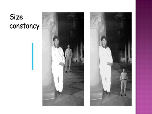 Perception in Psychology | PPT