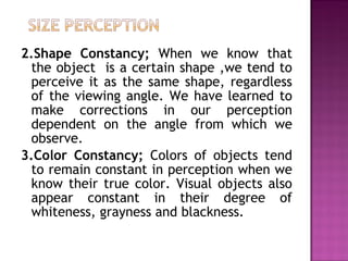 Perception in Psychology | PPT