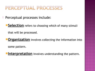 Perception in Psychology | PPT