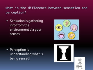 Perception | PPTX