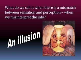 Perception | PPT