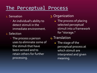 Perception | PPTX