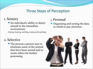 Perception | PPT
