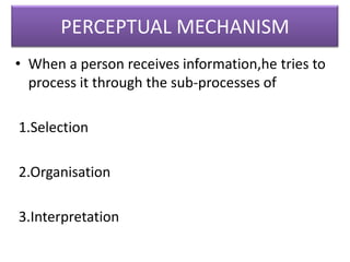 Perception | PPT