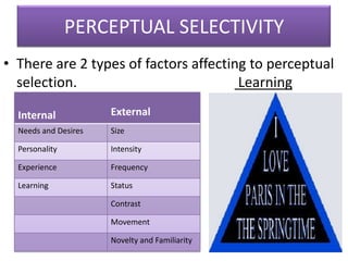 Perception | PPT
