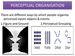 Perception | PPT