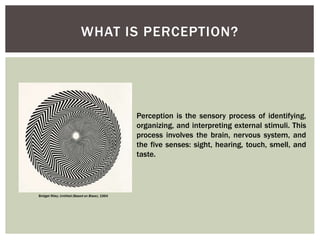 Perception | PPT