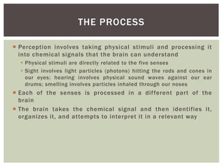 Perception | PPT