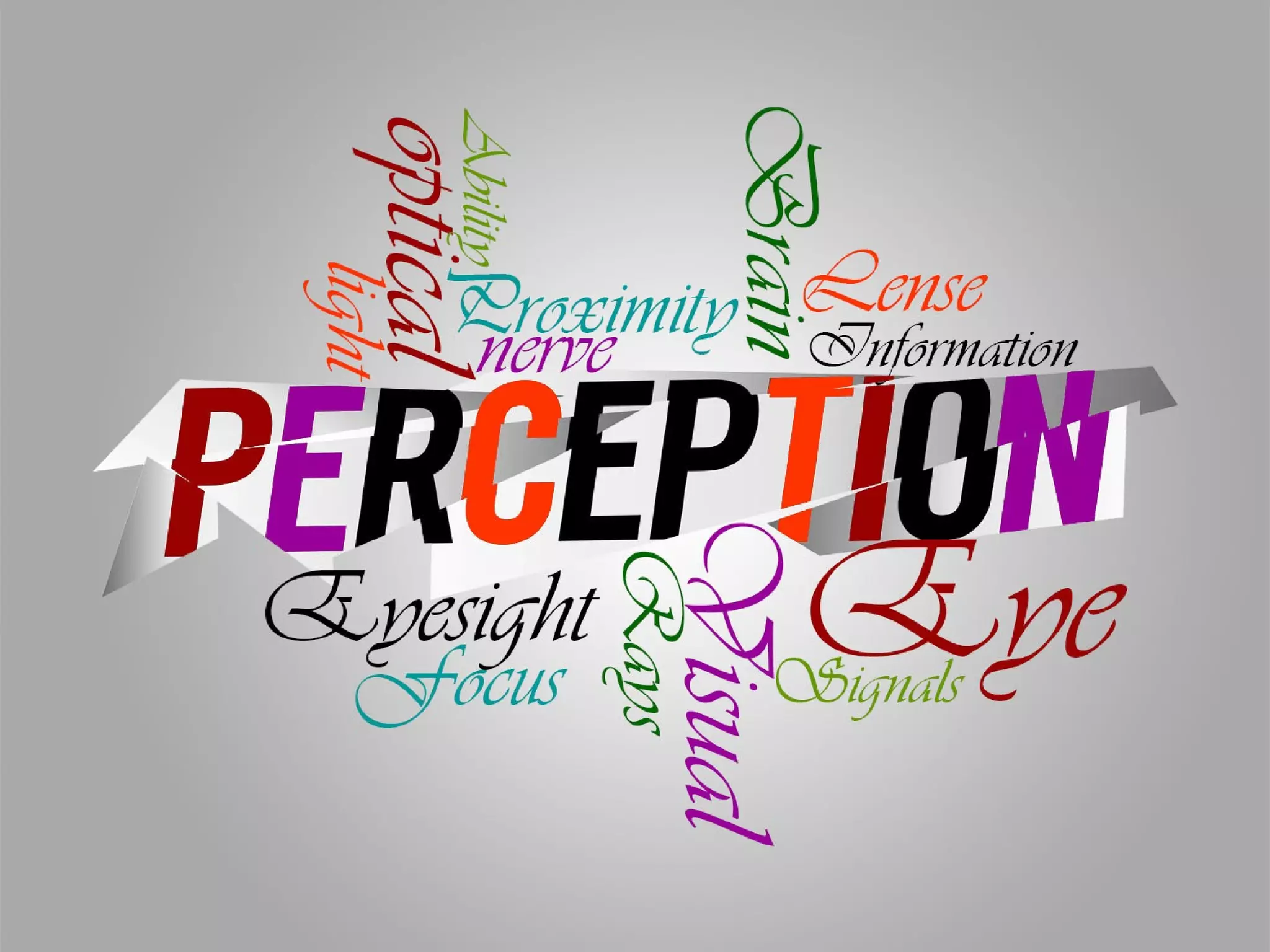 Perception | PPT