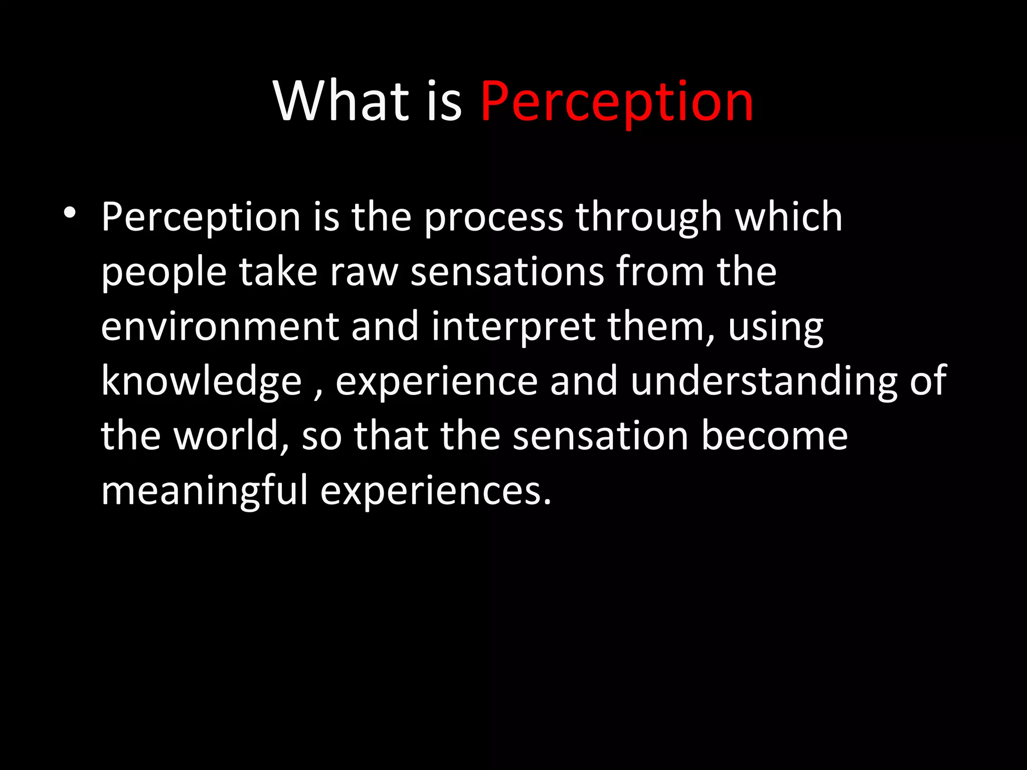 Perception | PPT