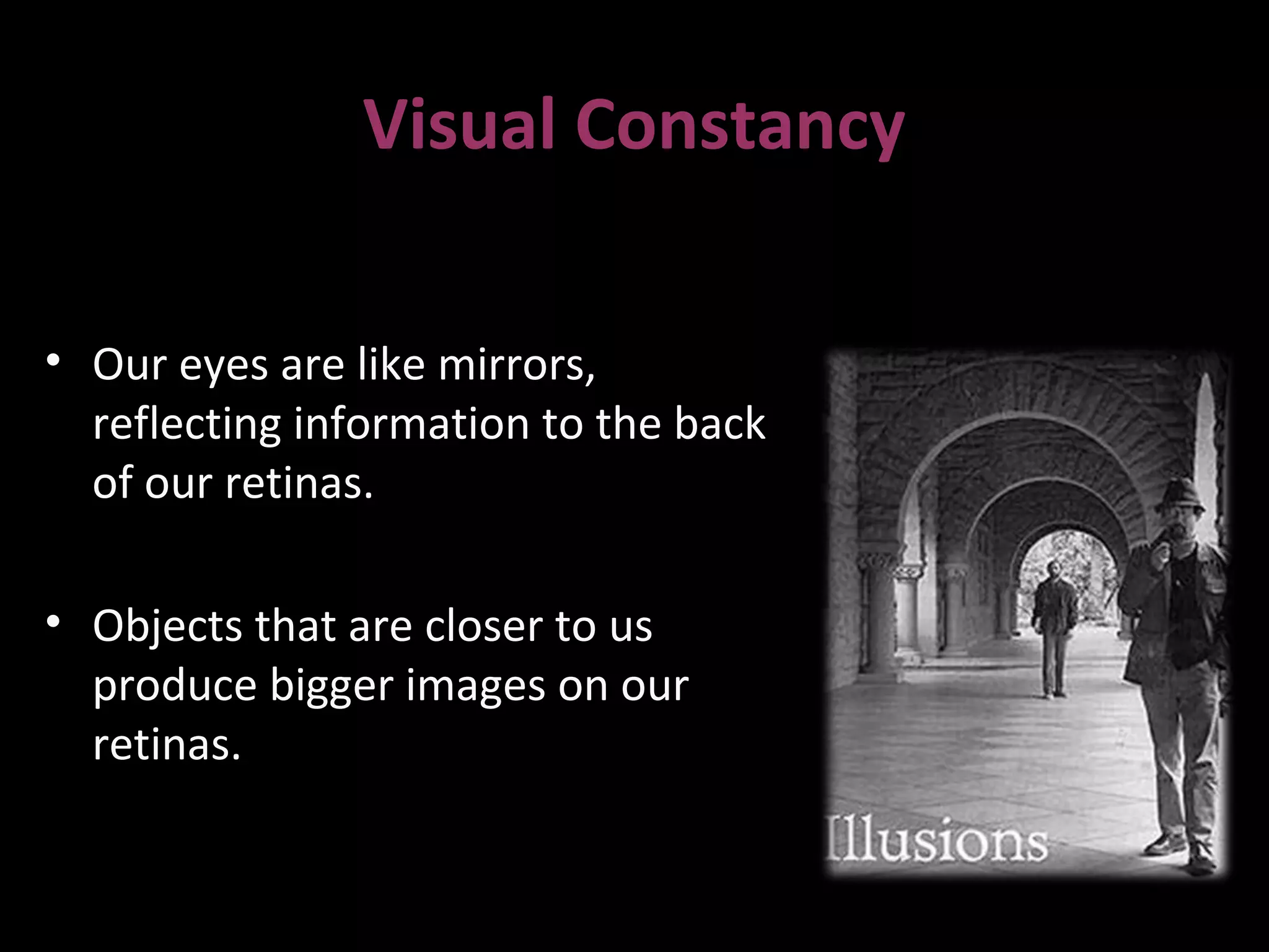 Perception | PPT