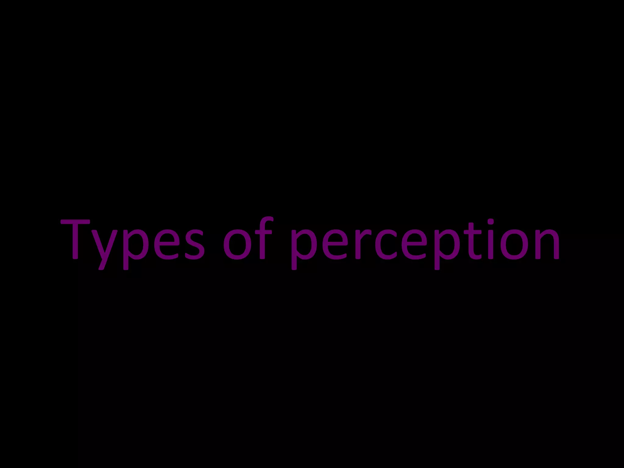 Perception | PPT