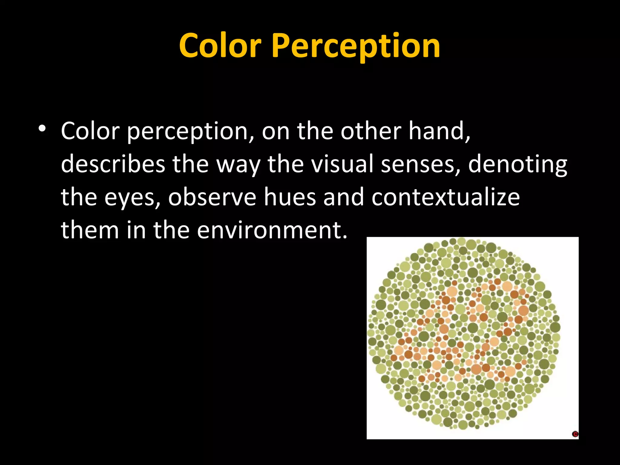 Perception | PPT