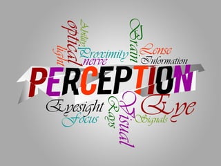 Perception | PPT