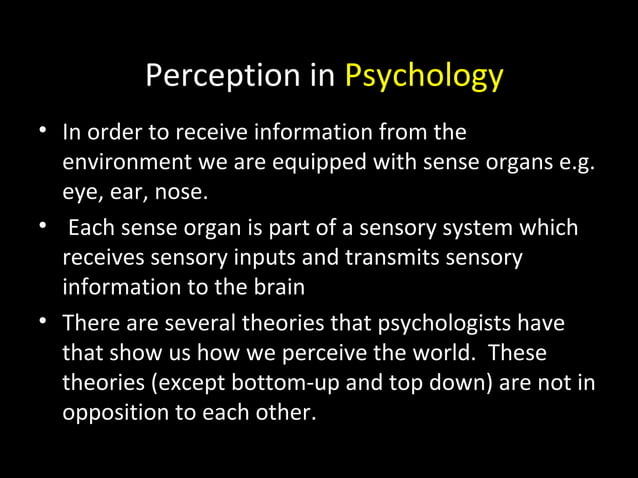 Perception | PPT