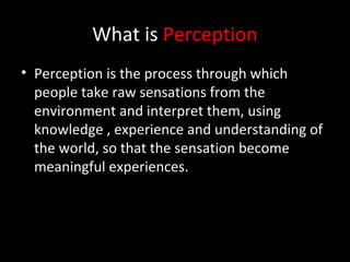 Perception | PPT