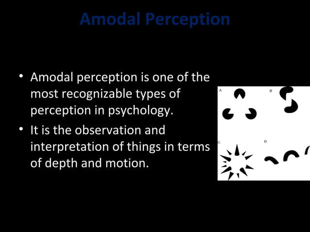 Perception | PPT