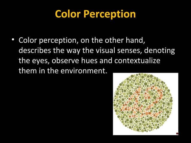 Perception | PPT