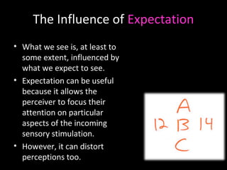 Perception | PPT