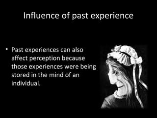 Perception | PPT
