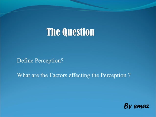 Perception | PPT
