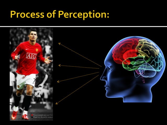 Perception | PPT