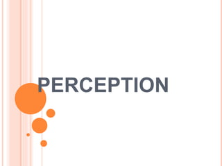 Perception | PPTX