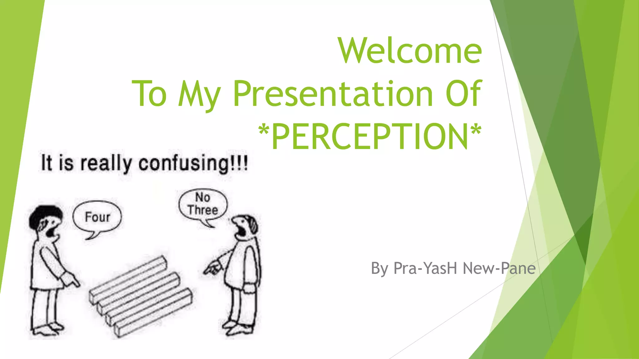 Perception | PPT