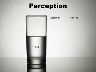 Perception | PPT